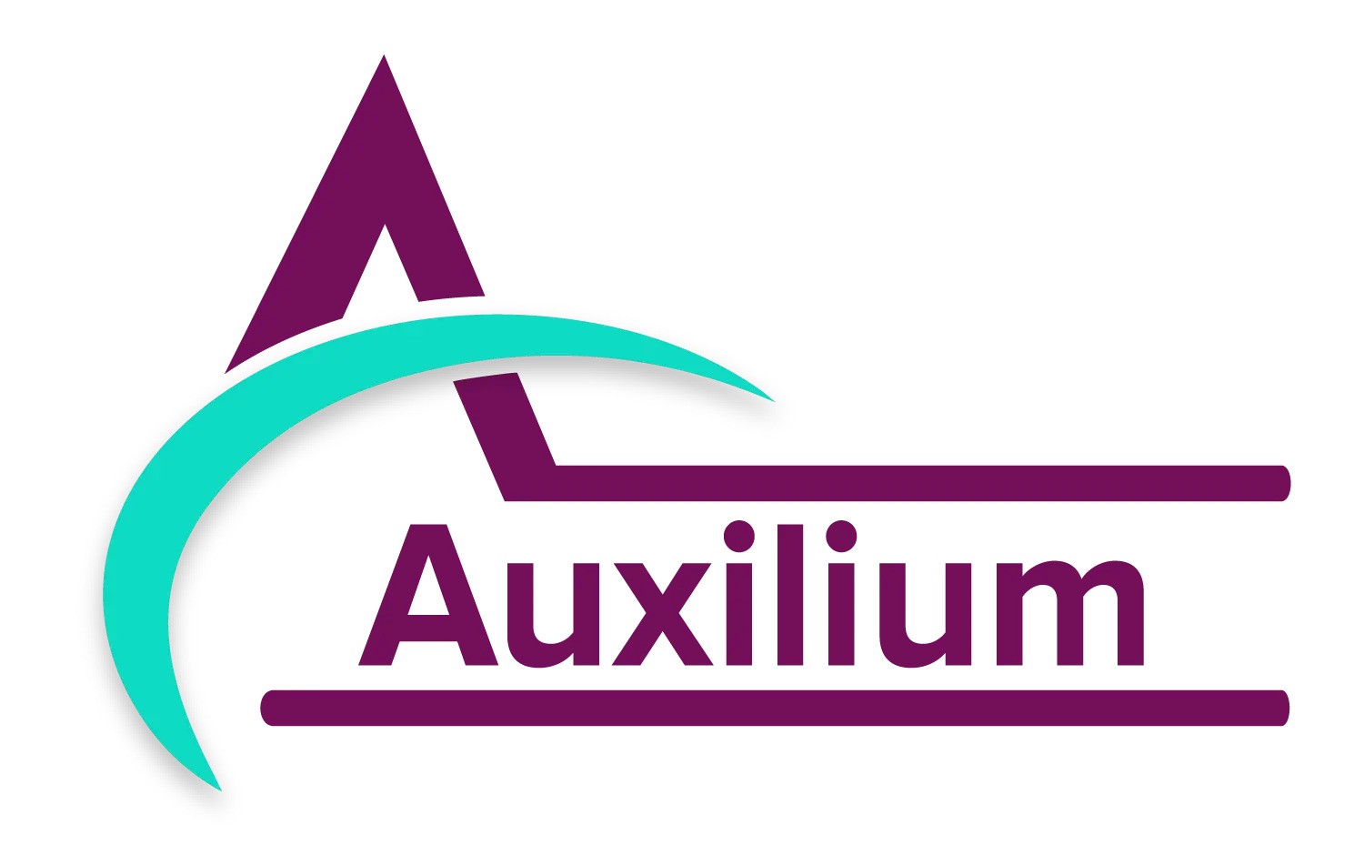 Auxilium Security Services | UK, London & Manchester